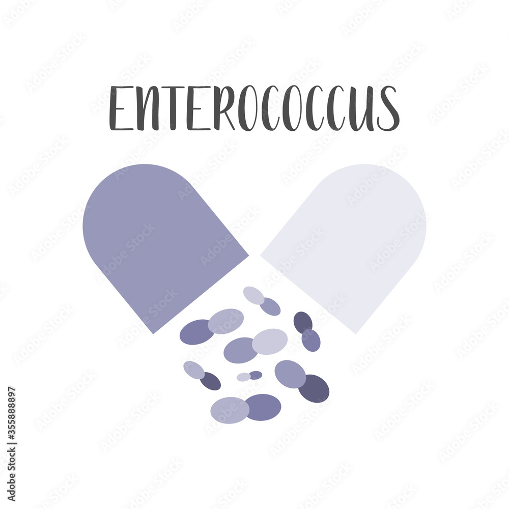 Enterococcus. Probiotics. Lactic acid bacteria. Good bacteria and ...