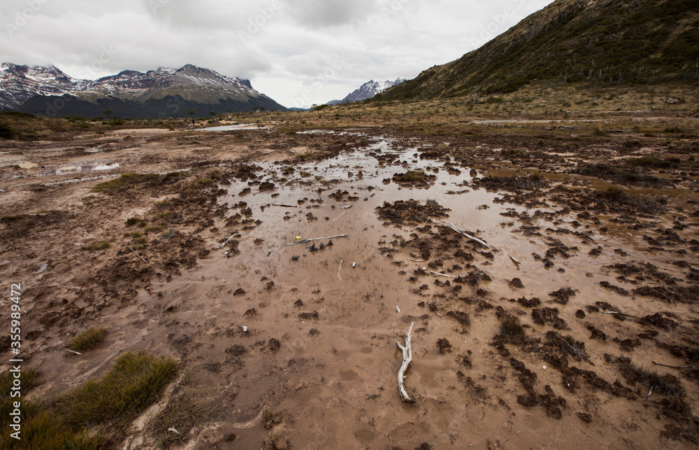 Foto de Stock Peat bog in the Andes mountains. Natural peat fields with ...