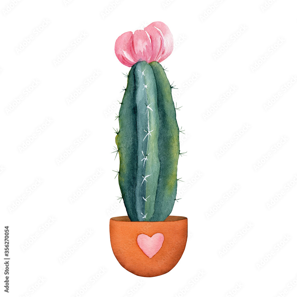 Watercolor hand painted exotic green cactus with pink flower in a clay ...