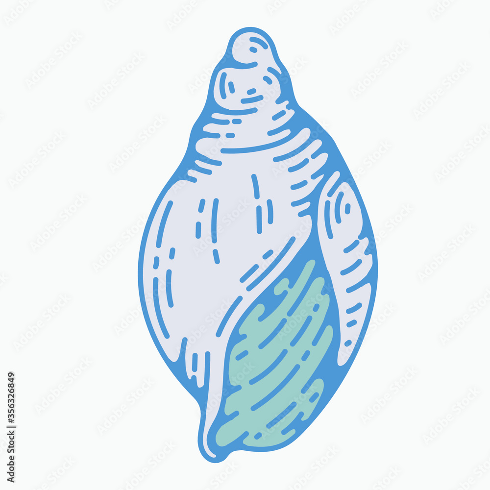 seashell graphic vector illustrations. sea,ocean themed designs, for ...