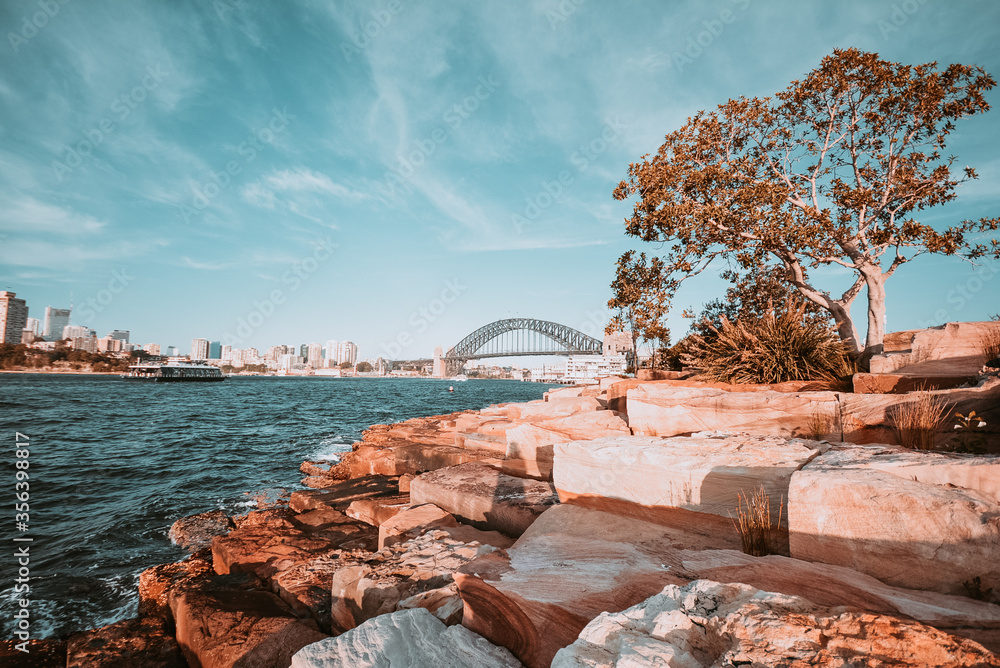 Barangaroo Reserve in Sydney, Australia, one of the most iconic places ...