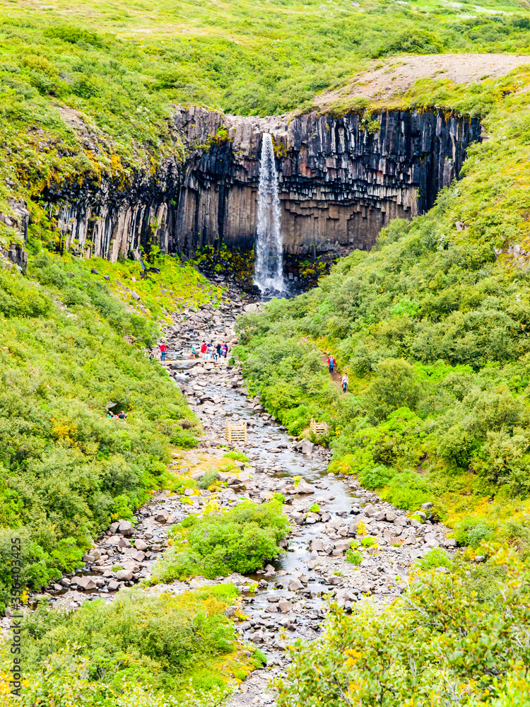 Svartifoss waterfall with basalt columns, Skaftafell National Park ...