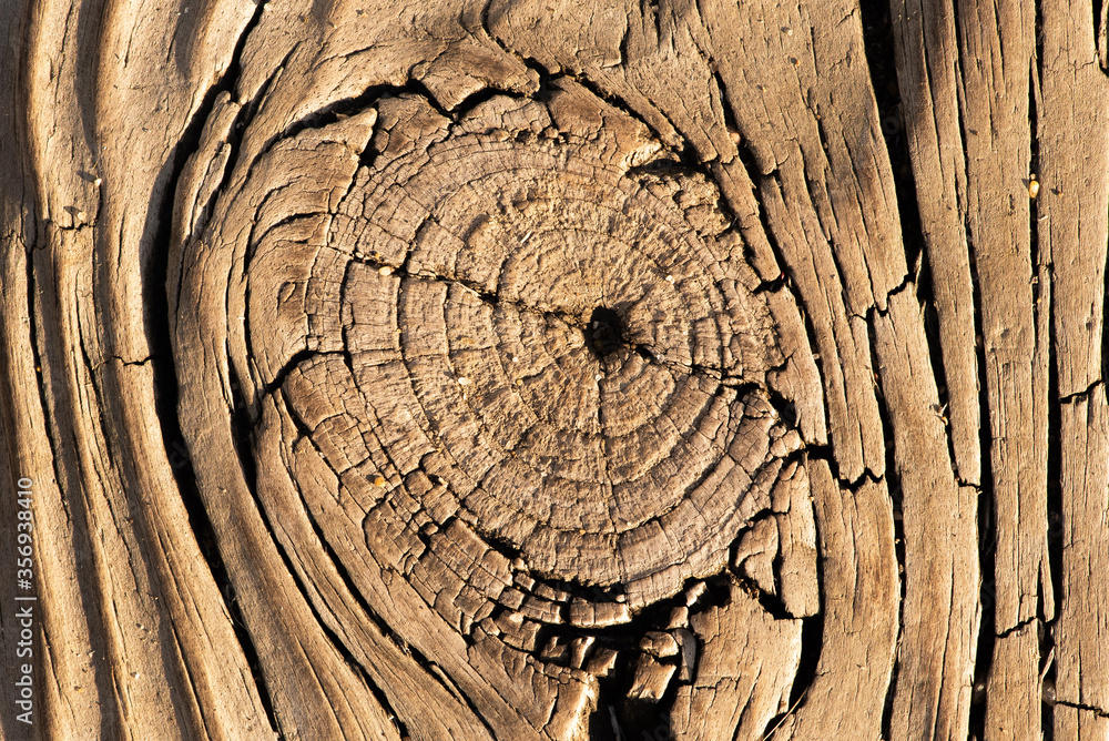 Erosion by wind and water has etched out the knots and wood grain in ...