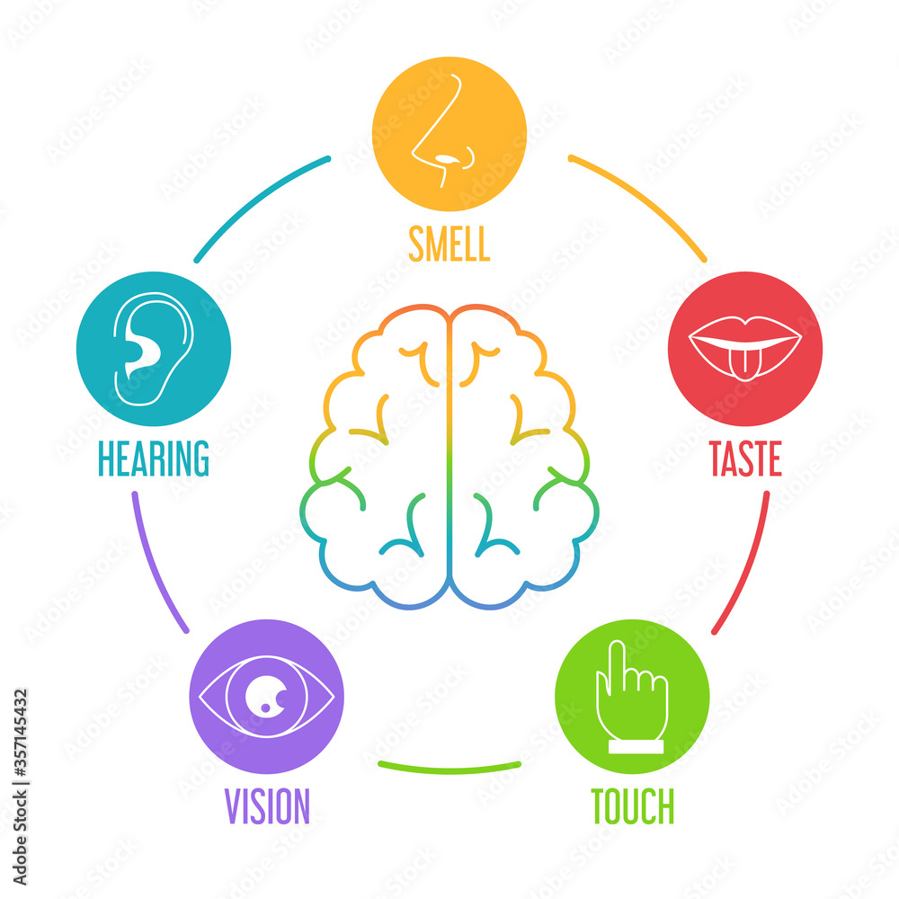 Five human senses icon set. Vector isolated illustration of human ...