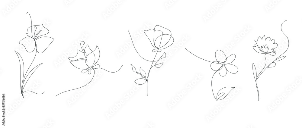 single line art vector flower illustration, outline set of blooming ...
