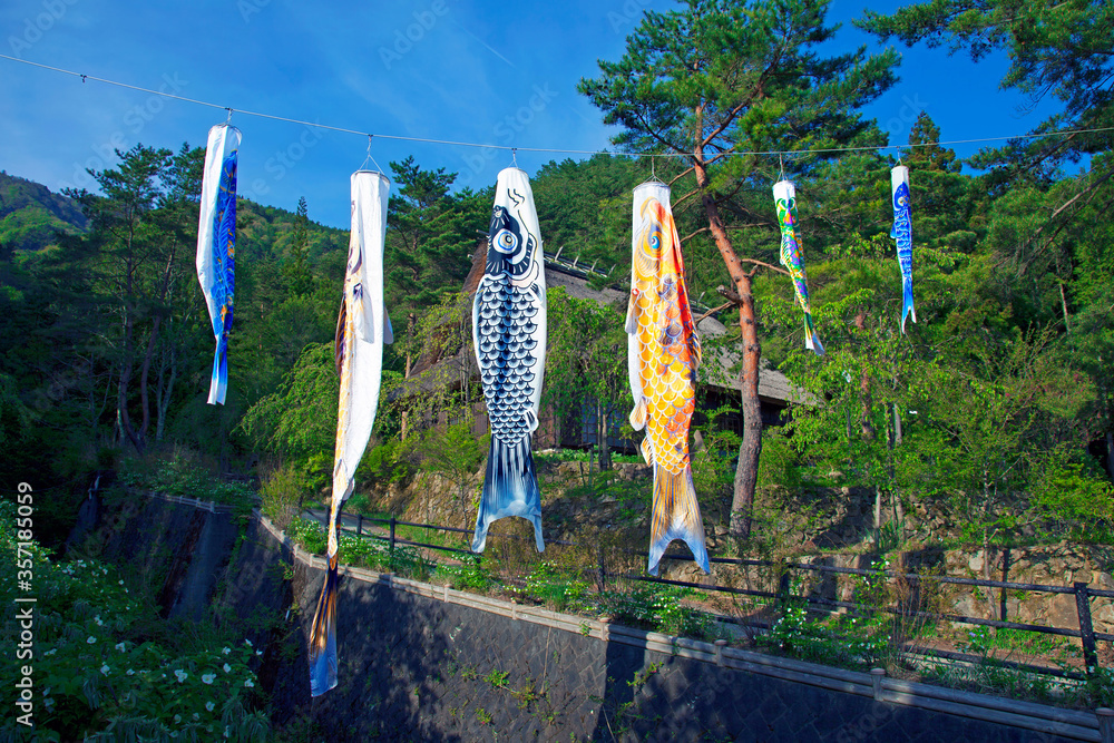Colorful Koinobori carp kites in the traditional samurai village of ...