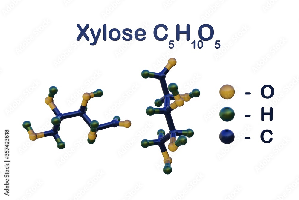 Structural chemical formula and molecular model of xylose. It is a ...