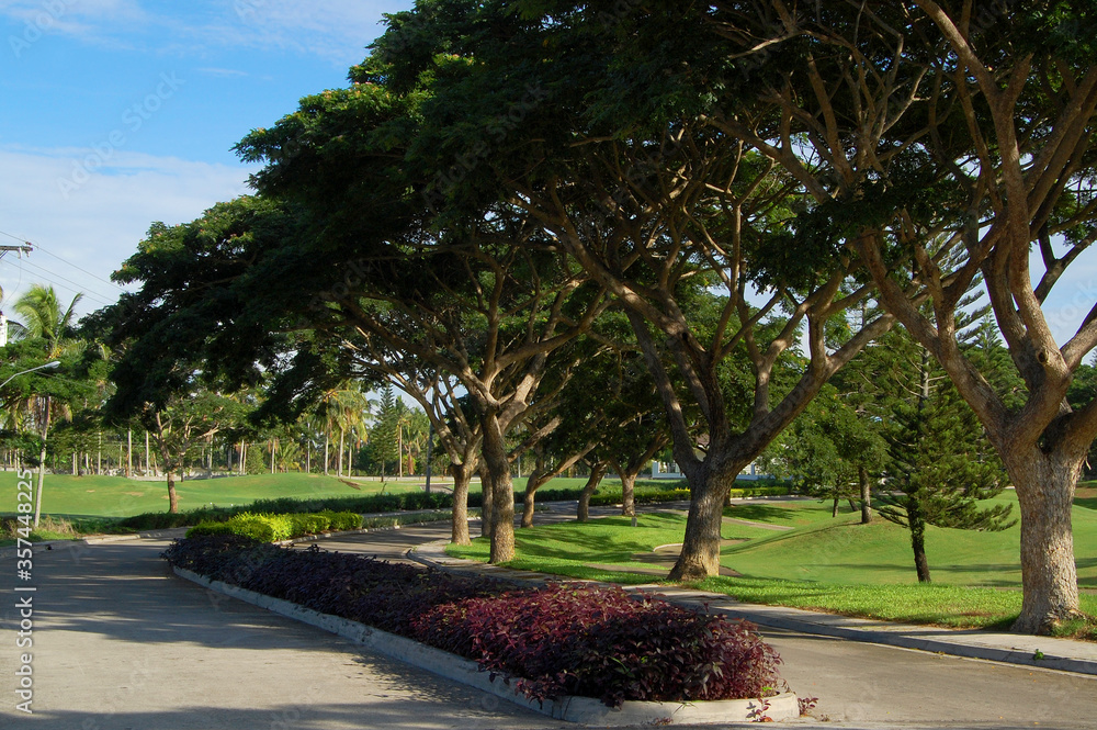 Pathway at Mount Malarayat in Lipa, Batangas, Philippines. Stock Photo ...