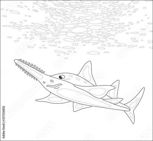 Large sinister marine largetooth sawfish swimming in depth of a ...