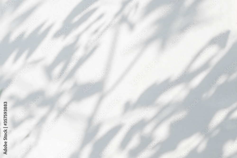 Leaves shadow and light background. Natural leaves tree branch and ...