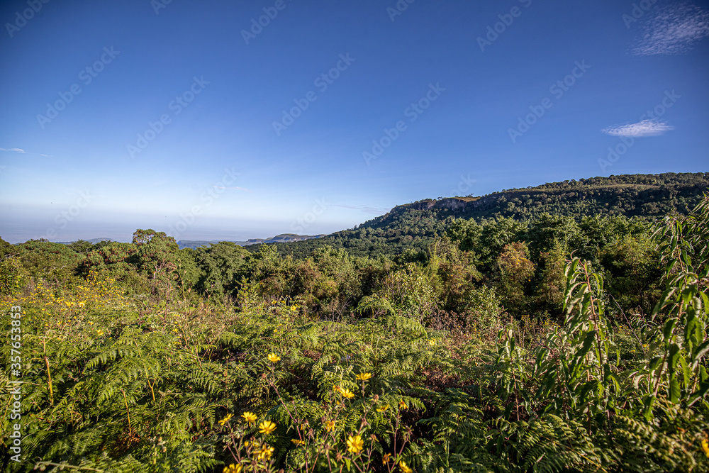 Photo Stock Mount Elgon National Park, Uganda. A rich biodiverse area ...