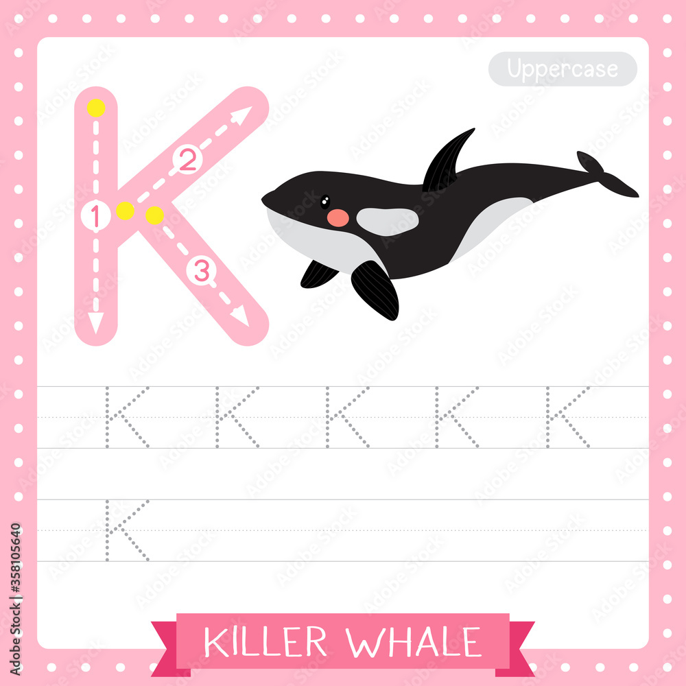 Letter K uppercase tracing practice worksheet of Killer whale Stock ...