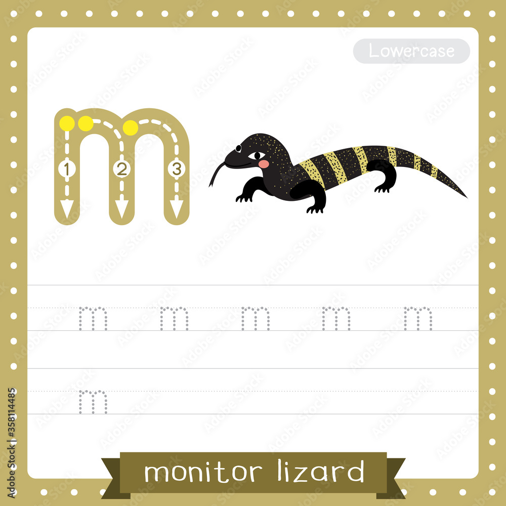 Letter M lowercase tracing practice worksheet of Monitor lizard Stock ... Letter M lowercase tracing practice worksheet of Monitor lizard Stock ...