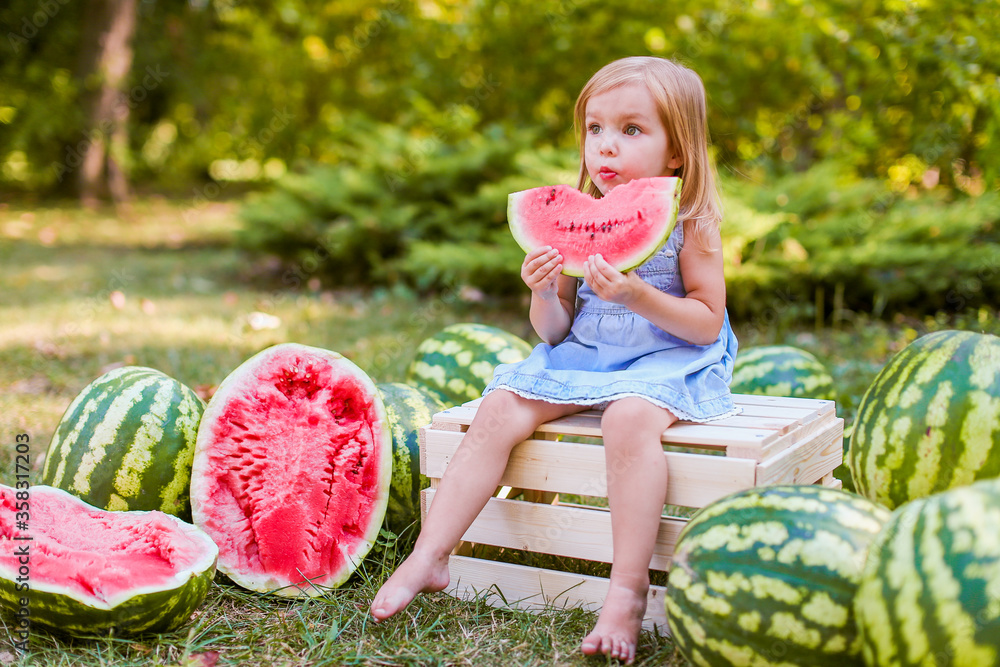 Cute blonde little girl sitting with watermelons around in a park ...