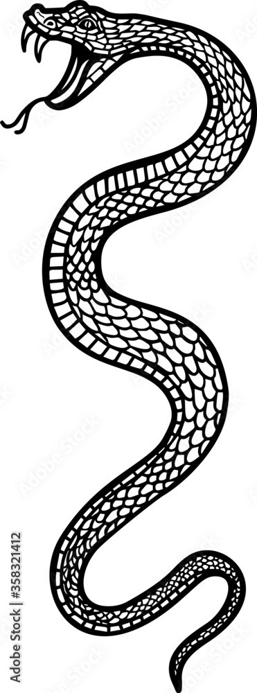 Illustration of poisonous snake in engraving style. Design element for ...