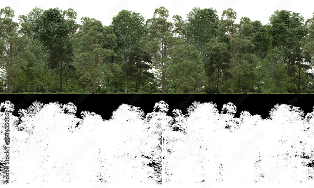 Horizon Summer Tree Line available for loop.. 10K x 3K Resolution ...