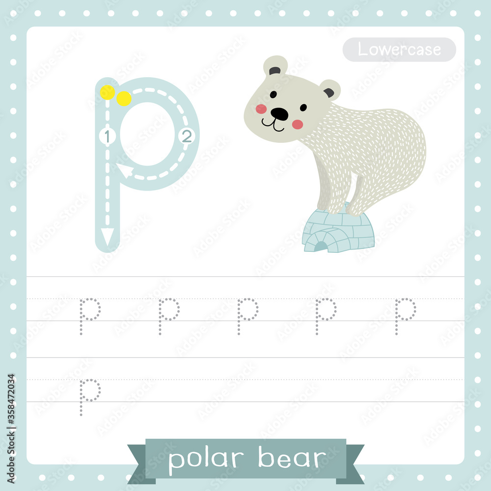 Letter P lowercase tracing practice worksheet of Polar Bear standing on ...