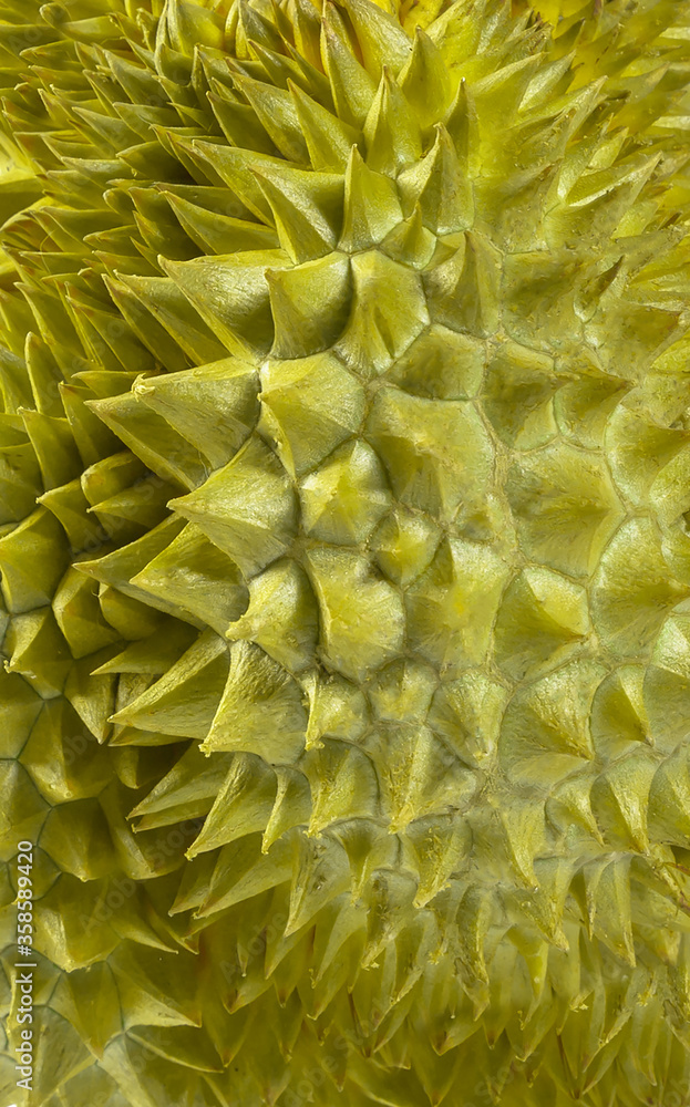 Durian thorn Background textures . Durian King of fruits in Thailand ...