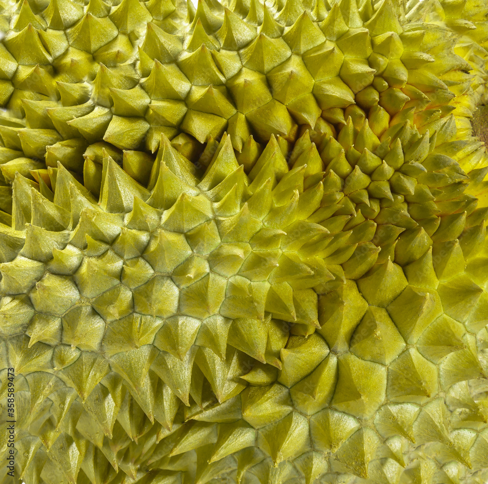 Durian thorn Background textures . Durian King of fruits in Thailand ...