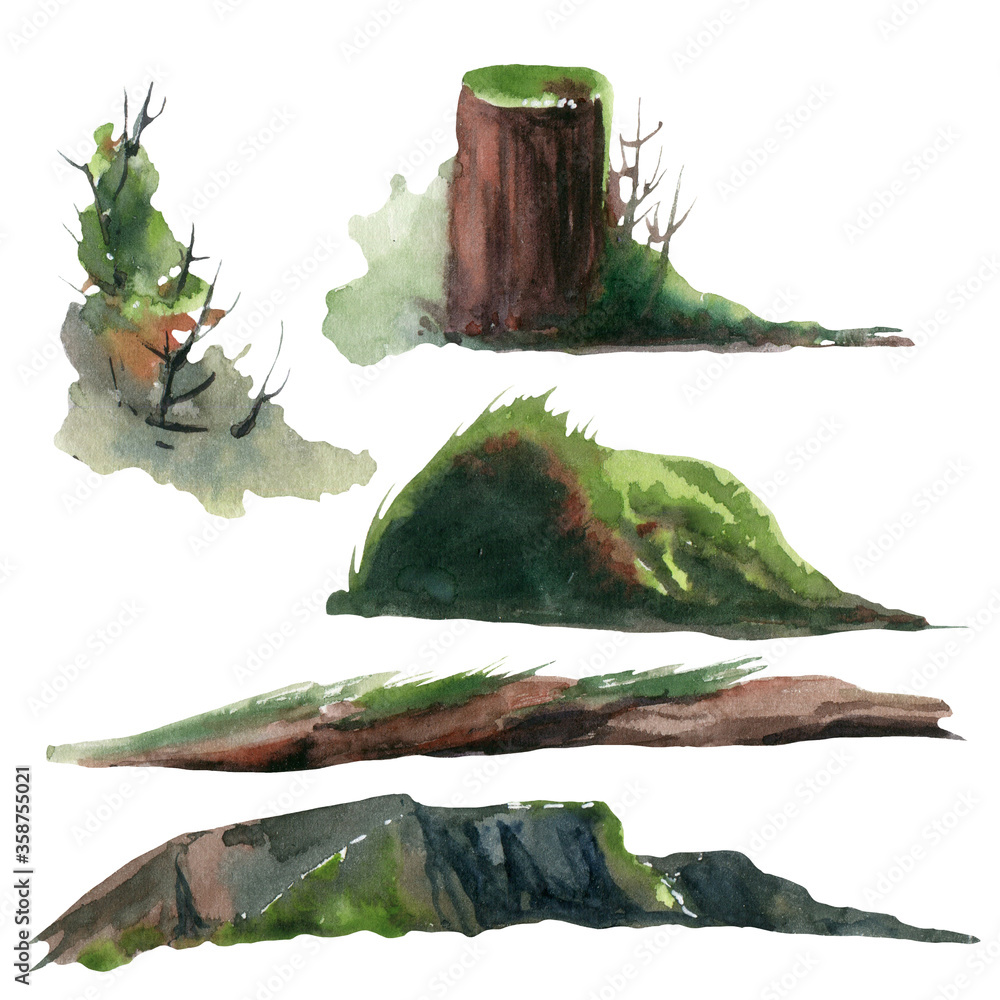 Watercolor moss illustrations set. Stock Illustration | Adobe Stock