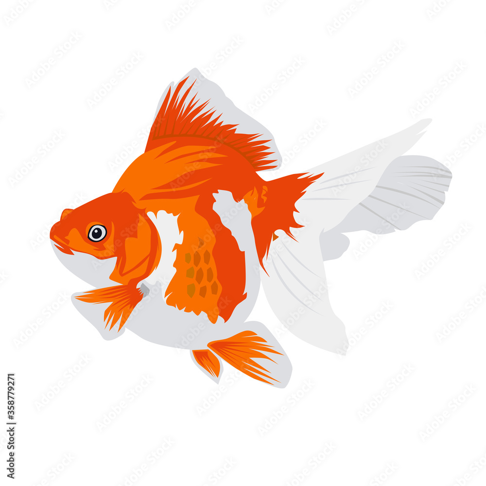 Gold Fish Vector Illustration Stock Vector | Adobe Stock