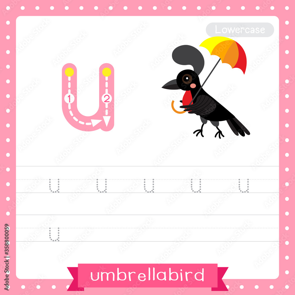 Letter U lowercase tracing practice worksheet of Umbrellabird Stock ...