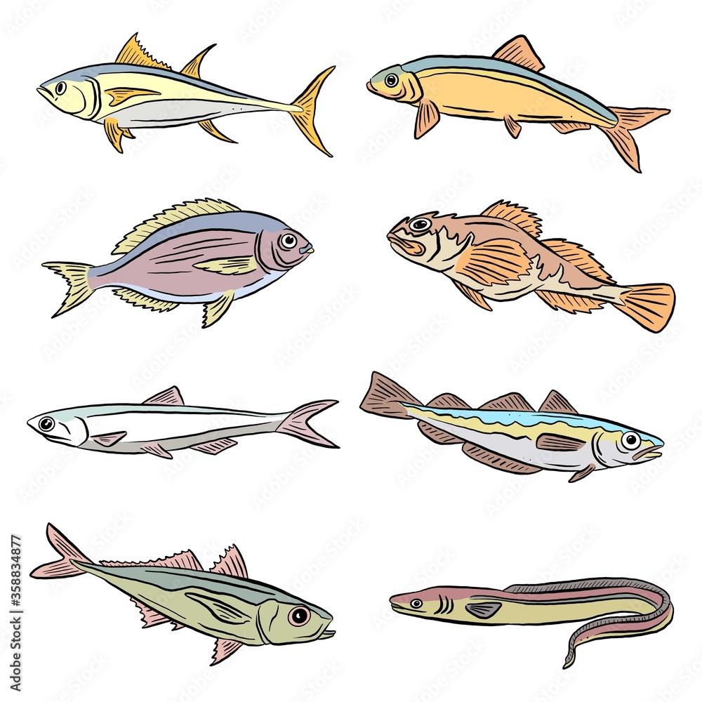 A Collection of Underwater Sea and Freshwater Fish Sharks and Eels ...