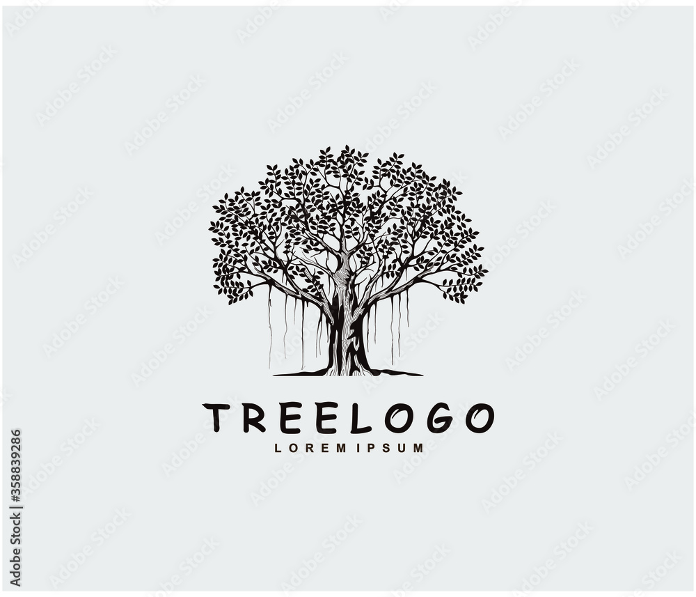Tree logo design template, vector isolated. banyan tree logo. Stock ...