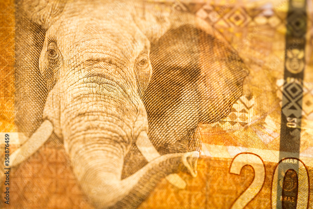 Horizontal detail of reverse side South African ZAR banknote with a ...