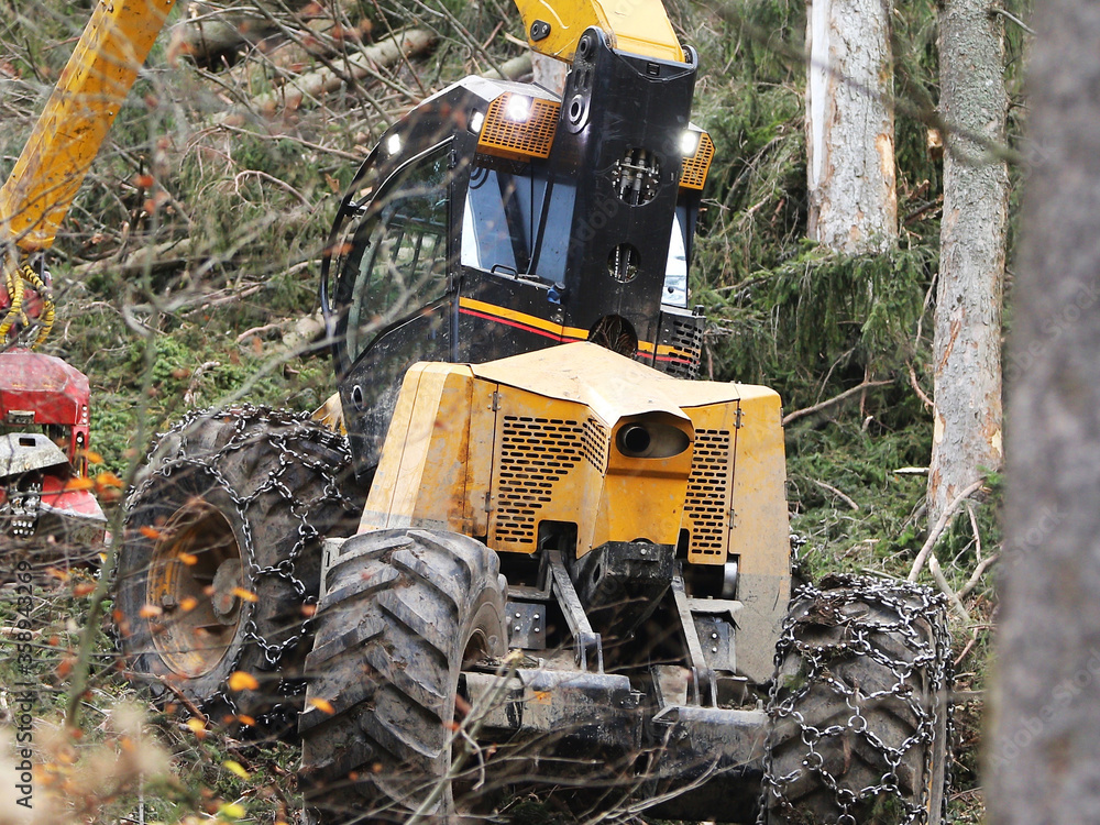 Special forest harvester for extreme slopes in spruce forest processing ...
