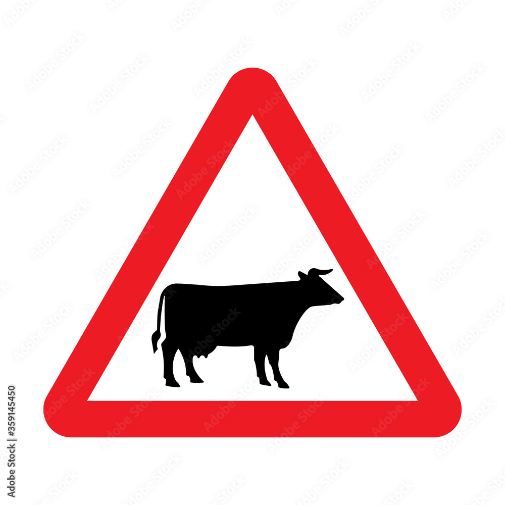 Cattle crossing warning road sign. Vector illustration of cow caution ...