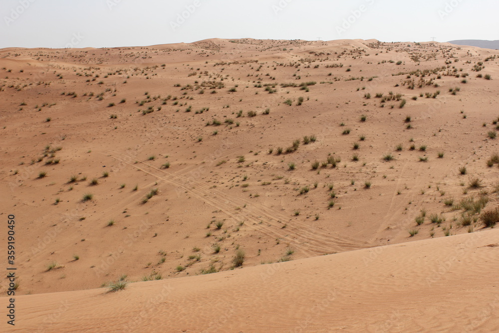 Foto de Stock Hot and arid desert sand dunes terrain in Sharjah emirate ...