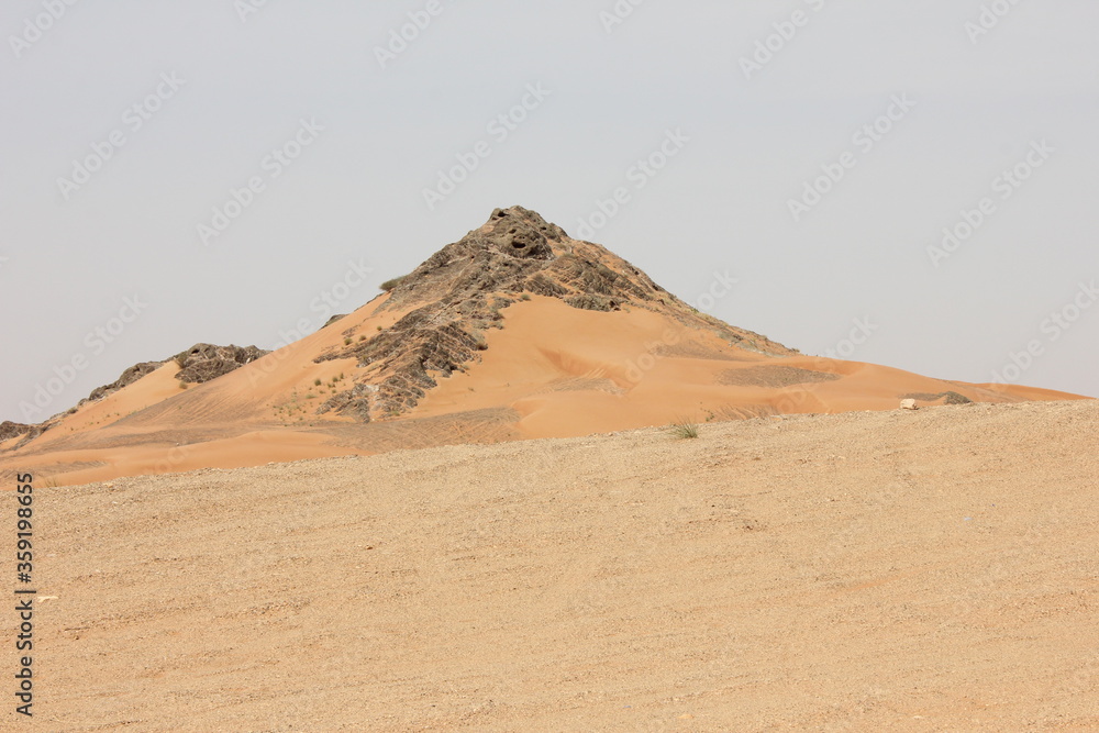 Hot and arid desert sand dunes terrain in Sharjah emirate in the United ...