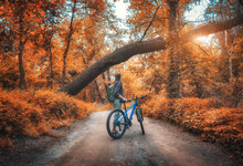 Autumn Bike Free Stock Photo - Public Domain Pictures