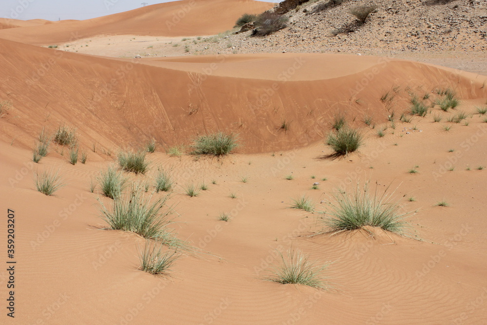Hot and arid desert sand dunes terrain in Sharjah emirate in the United ...