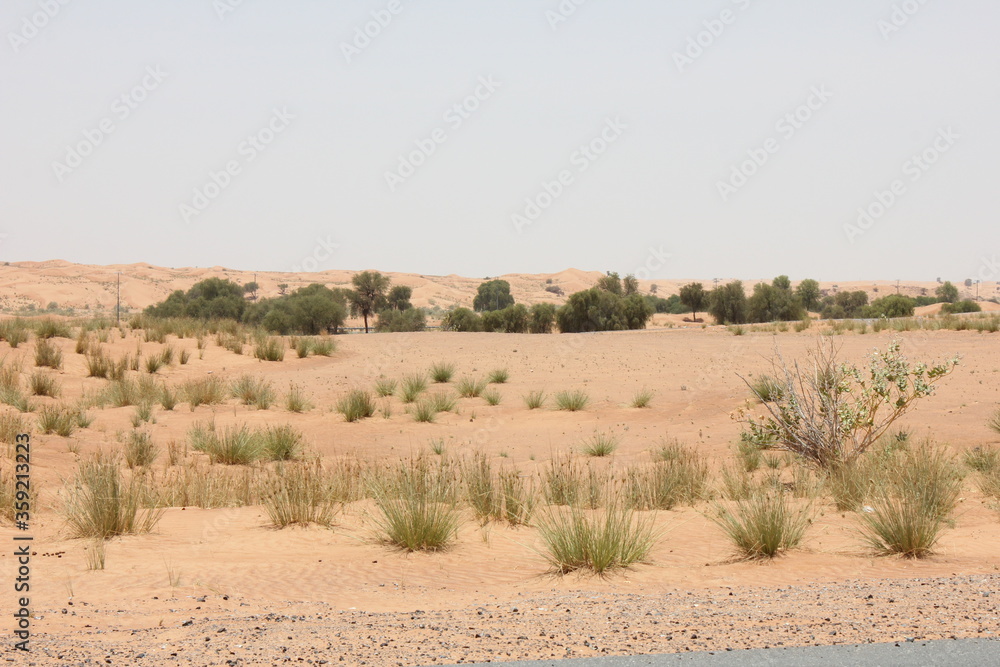 Hot and arid desert sand dunes terrain in Sharjah emirate in the United ...