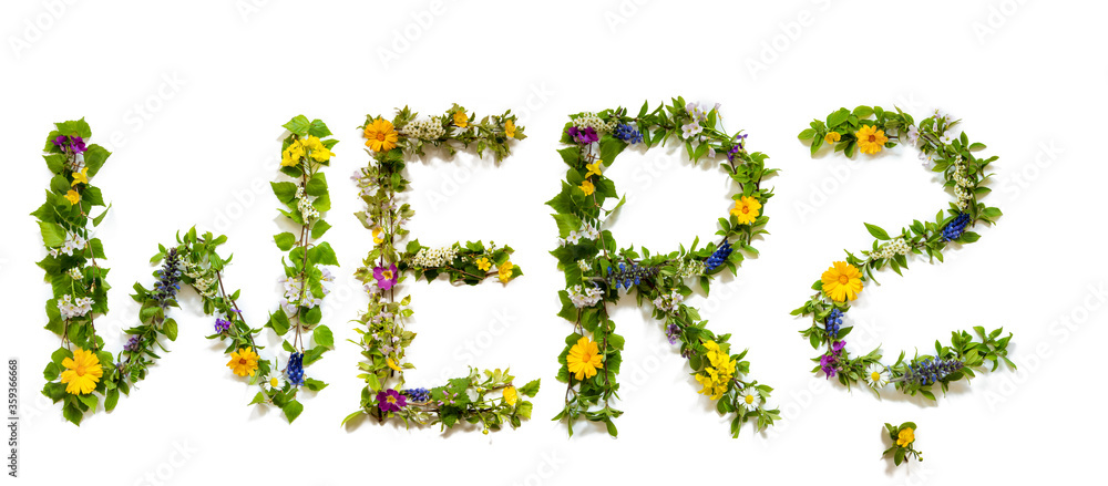 Flower, Branches And Blossom Letter Building German Word Wer Means Who ...