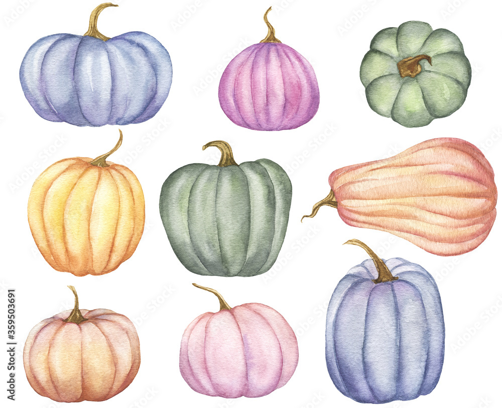 Watercolor Pastel Pumpkins Clipart. Autumn, Fall, Harvest Illustration ...