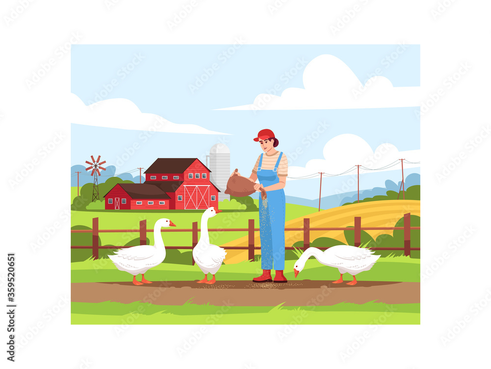 Poultry pasture on farmland semi flat vector illustration. Local ...