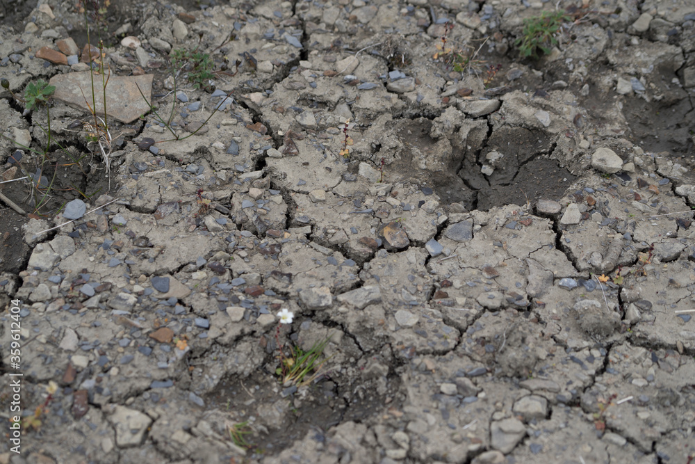 Fotografia do Stock Dry permafrost ground in the Arctic desert on ...