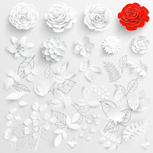 White Roses On Paper Art Free Stock Photo - Public Domain Pictures