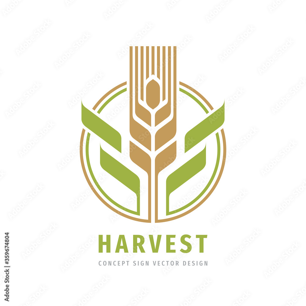 Harvest grain crop cereal logo template creative illustration. Ear of ...