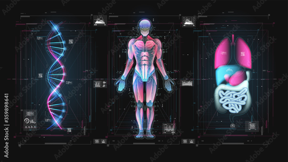 Sci infographic. Virtual graphic touch HUD display with illustration ...