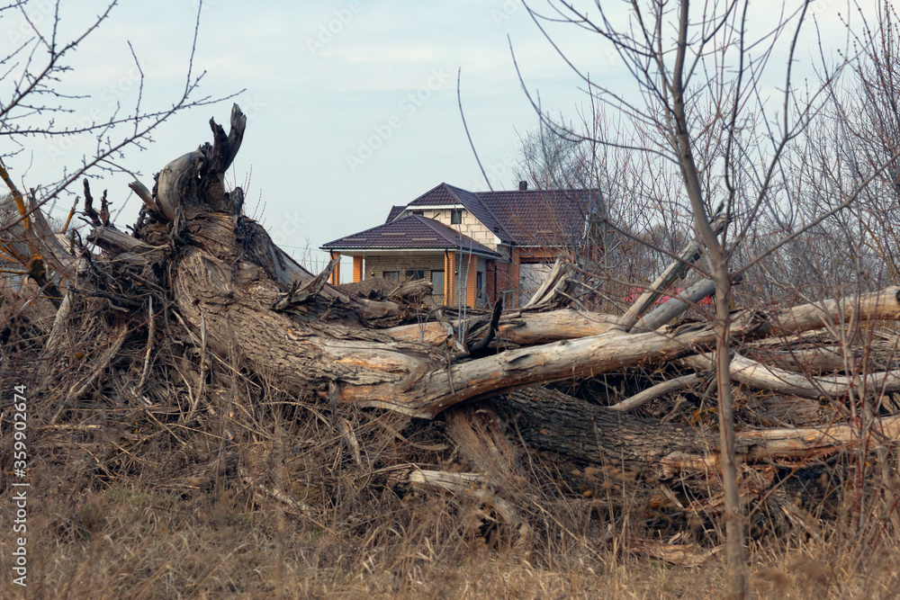 Picturesque fallen dry tree on the background of an unfinished house ...