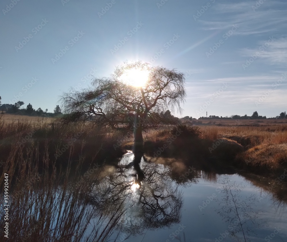 Sunrise over brown and dull grass fields landscape with the rising sun ...
