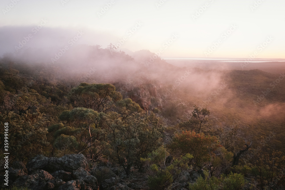 Woodland bush around Helena Aurora Range in outback Western Australia ...