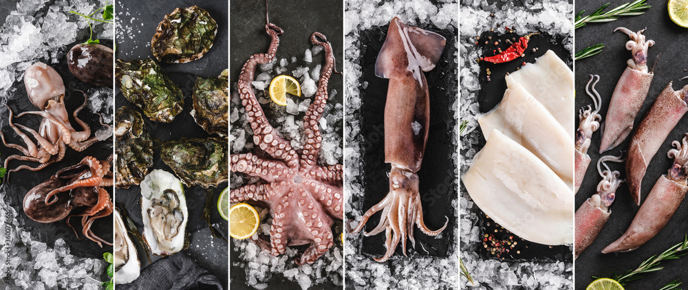 Food collage of various fresh raw fillet squid, octopus, oysters, baby ...