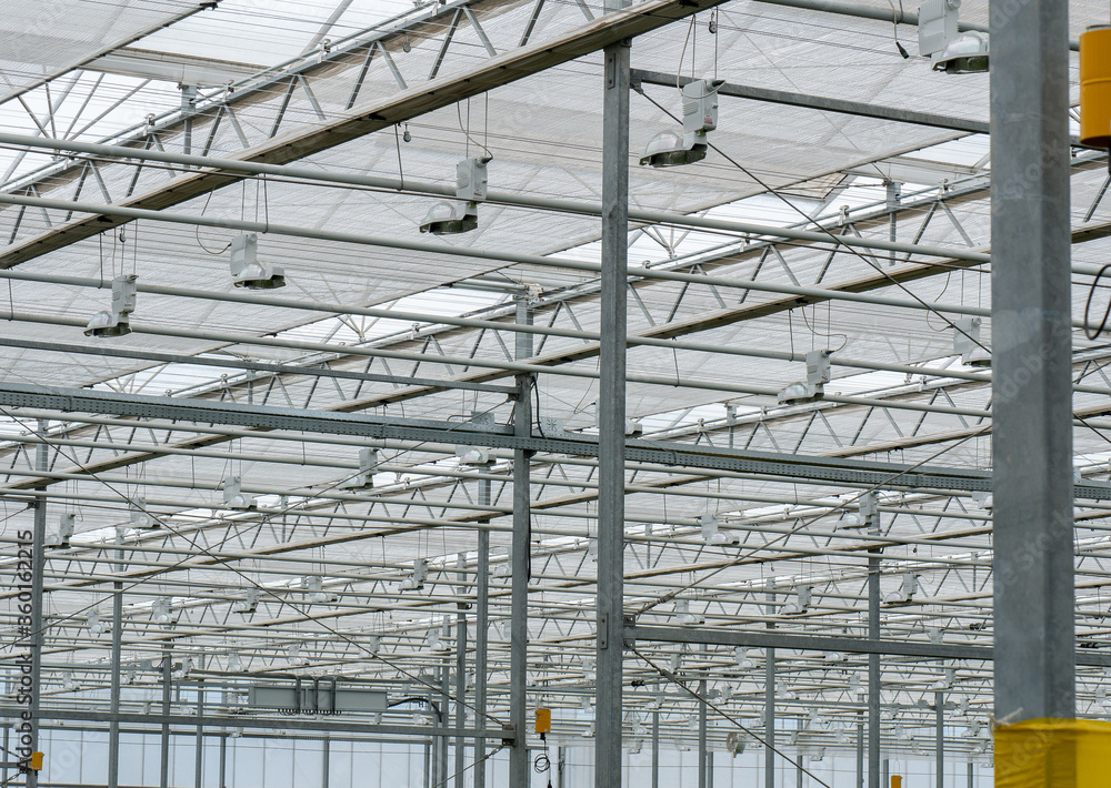 Perspective view of greenhouse with red, yellow , pink, white roses ...