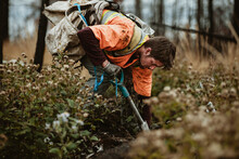 Forestry Workers Free Stock Photo - Public Domain Pictures