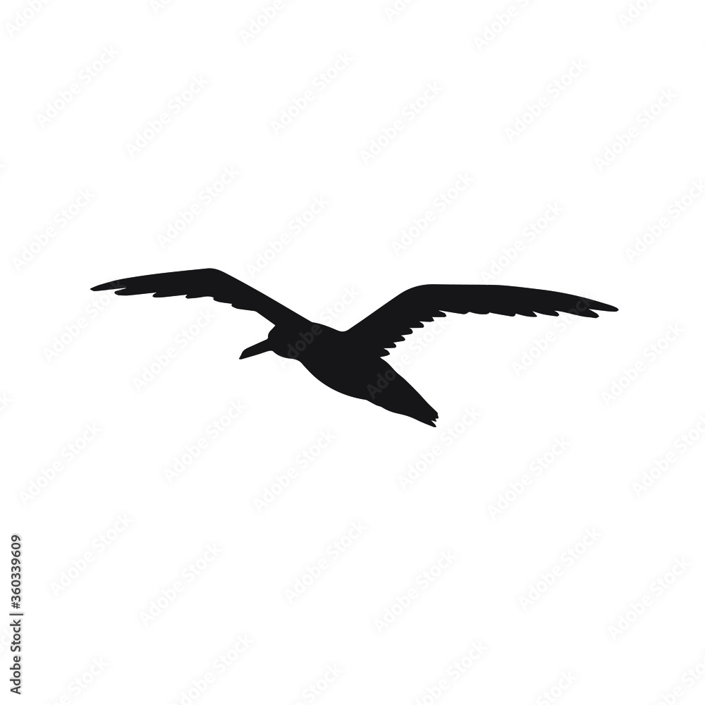 Vector black hand drawn sketch flying seagull silhouette isolated on ...